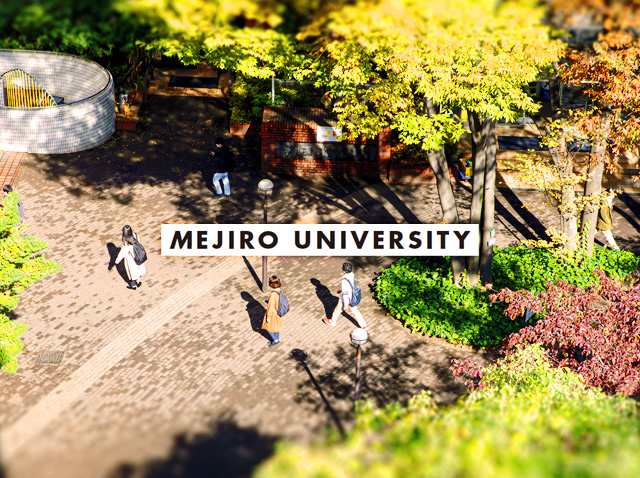 目白大学 | 育てて送り出す